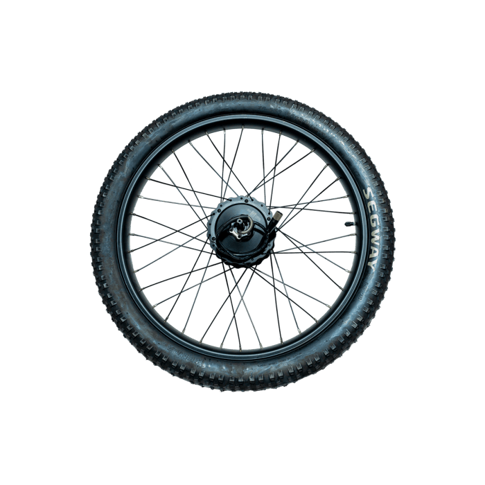 Rear wheel motor assembly-Xafari