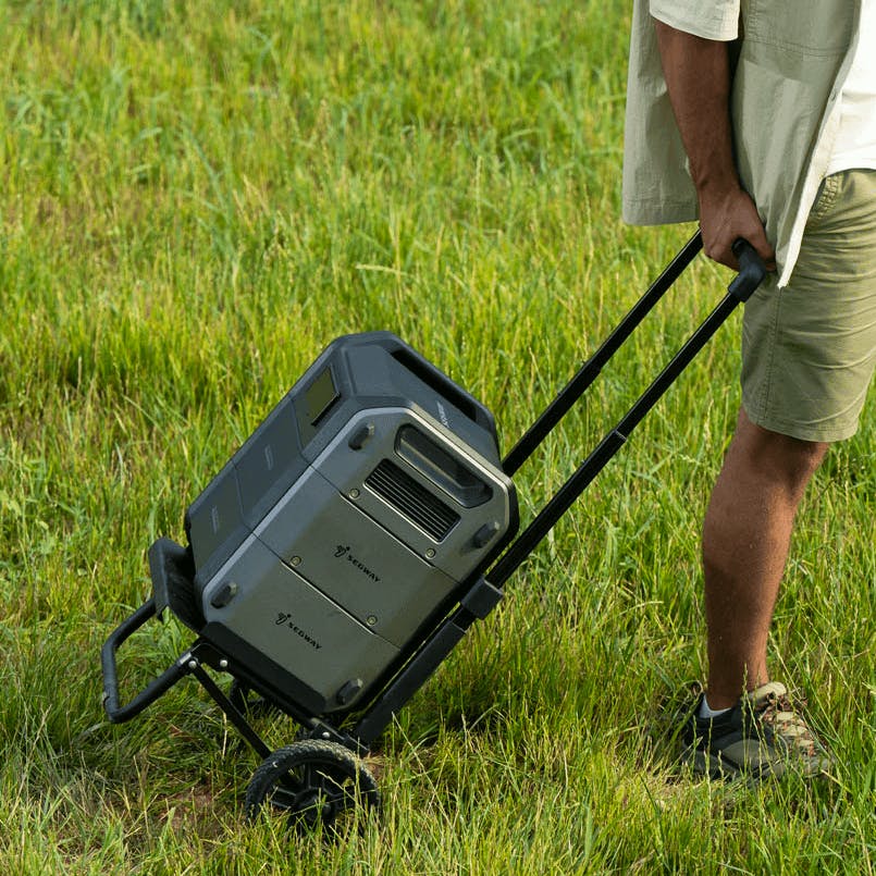 Segway Cart for Cube series